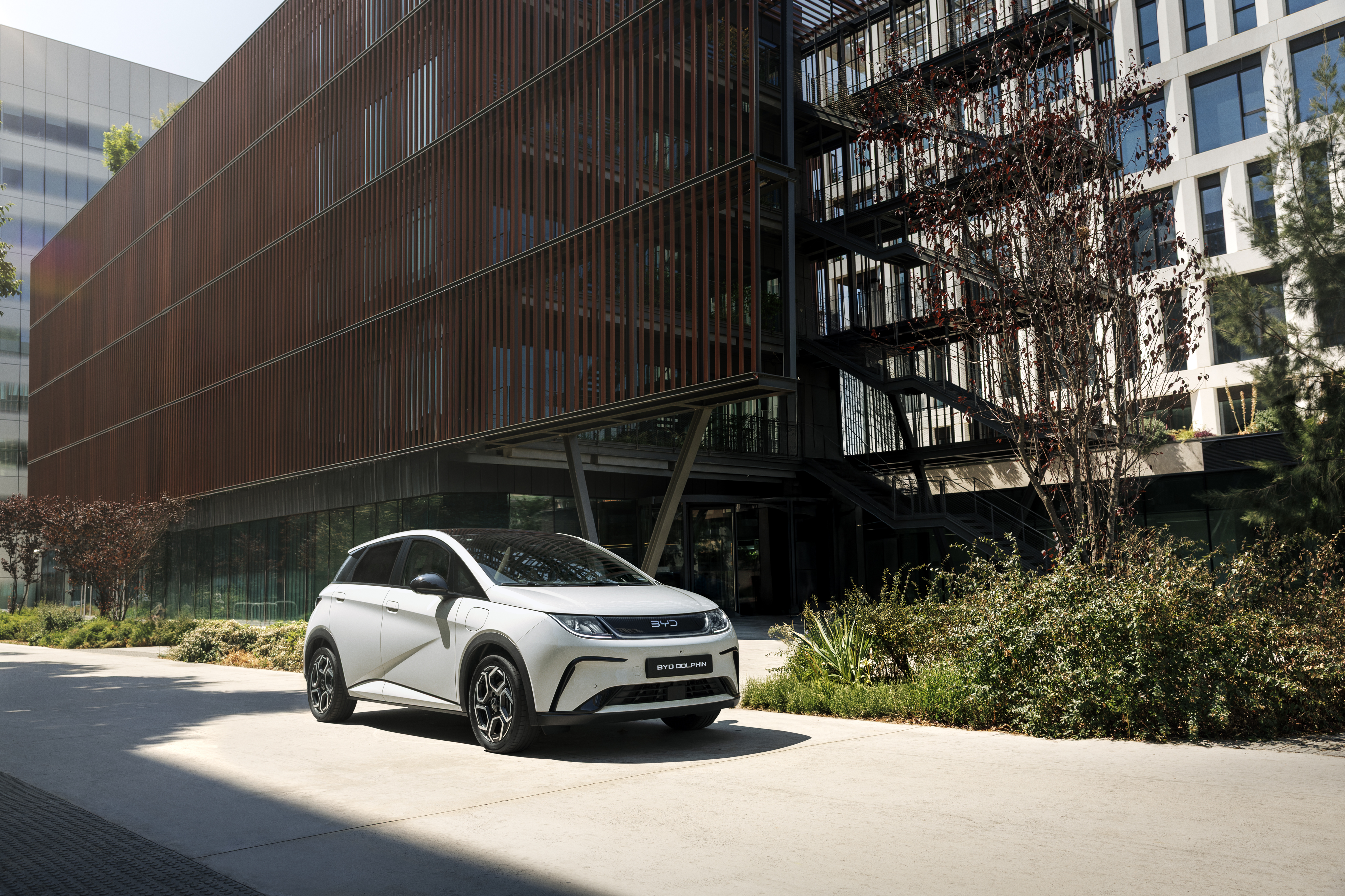 BYD DOLPHIN - Agile & Versatile | Small Electric Hatchback | BYD UK